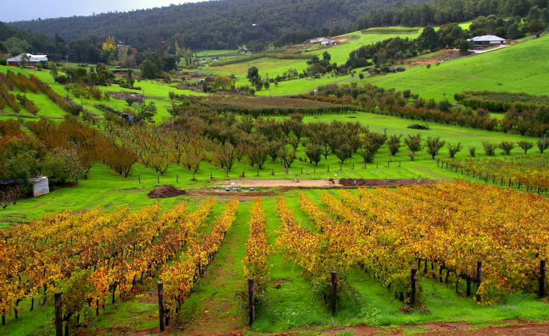 Perth Hills in All Four Seasons: Best Times to Visit & Things to Do ...