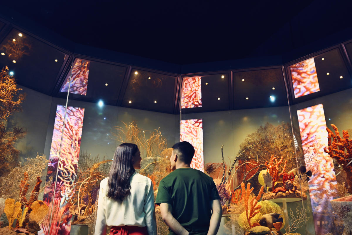 Step Back in Time: Perth's Top Museums to Explore | Destination Perth
