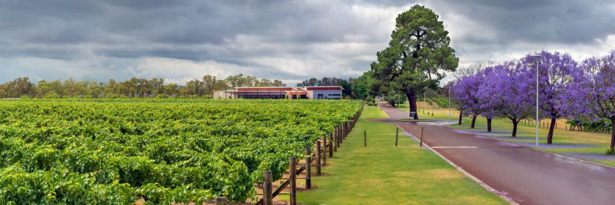 Your Best Brunch Spots in the Swan Valley