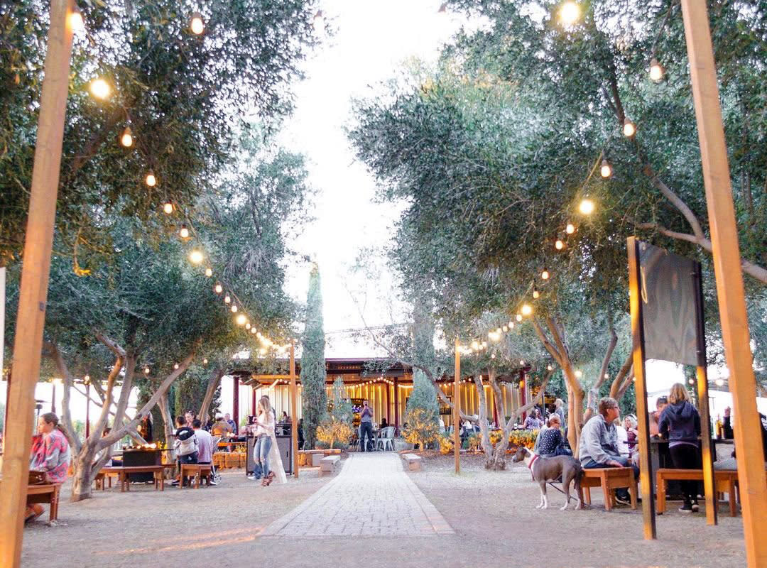 Seasonal Experiences – from Farm to Table – in Phoenix