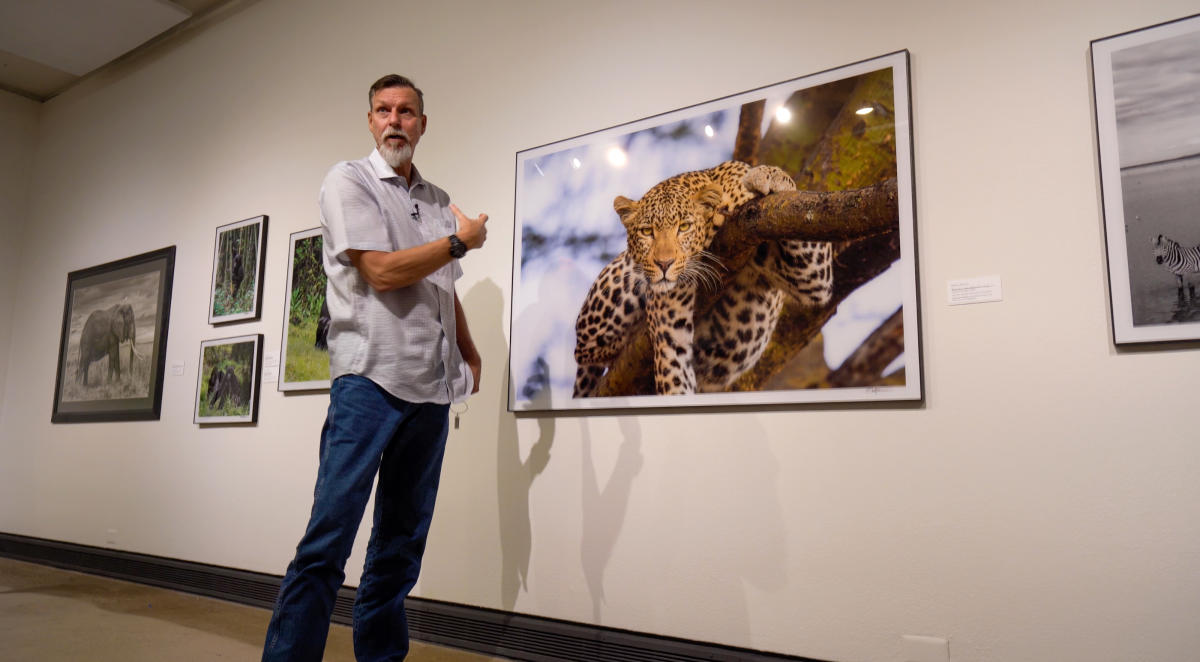 Randy Johnson's Unique Path from Pitcher to Photographer | VisitPhoenix.com