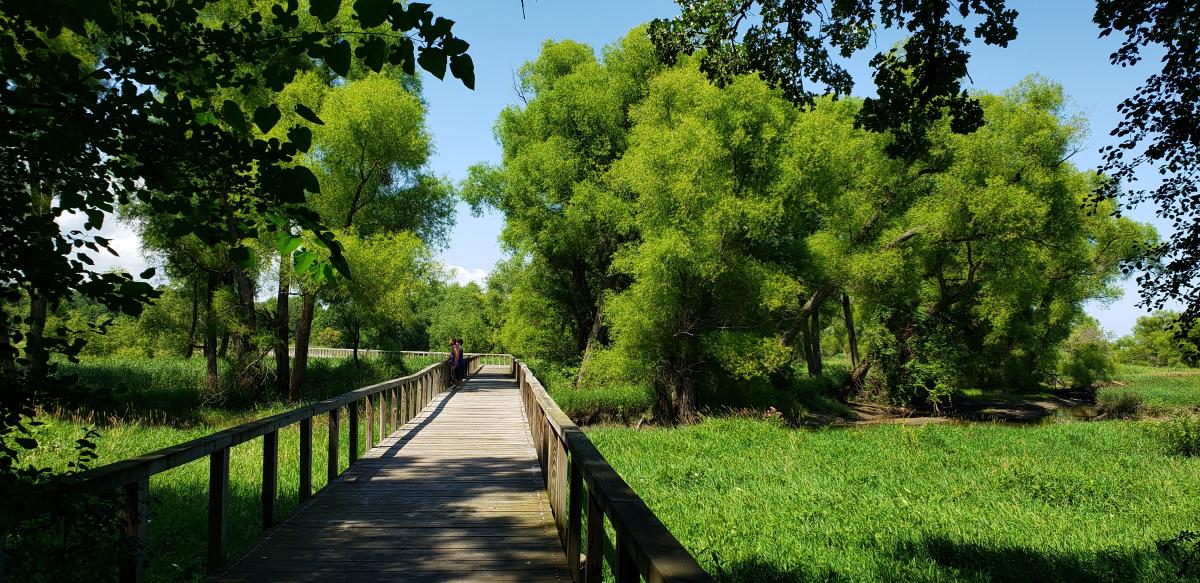 Guide to Hiking & Biking Trails in Pleasant Prairie | View Map