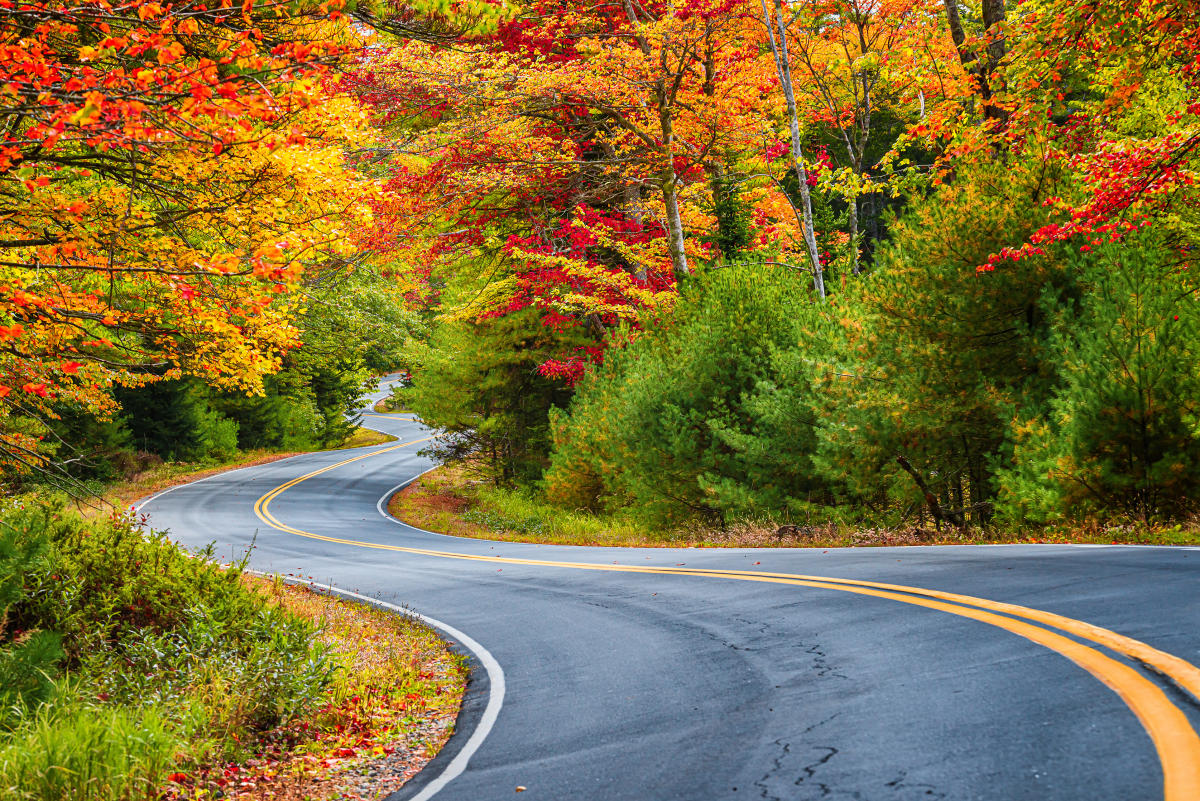 7 Eye-Catching Poconos Fall Foliage Scenic Drives 2024