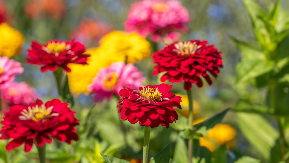 Celebrate Spring in the Poconos with a Farm Tour