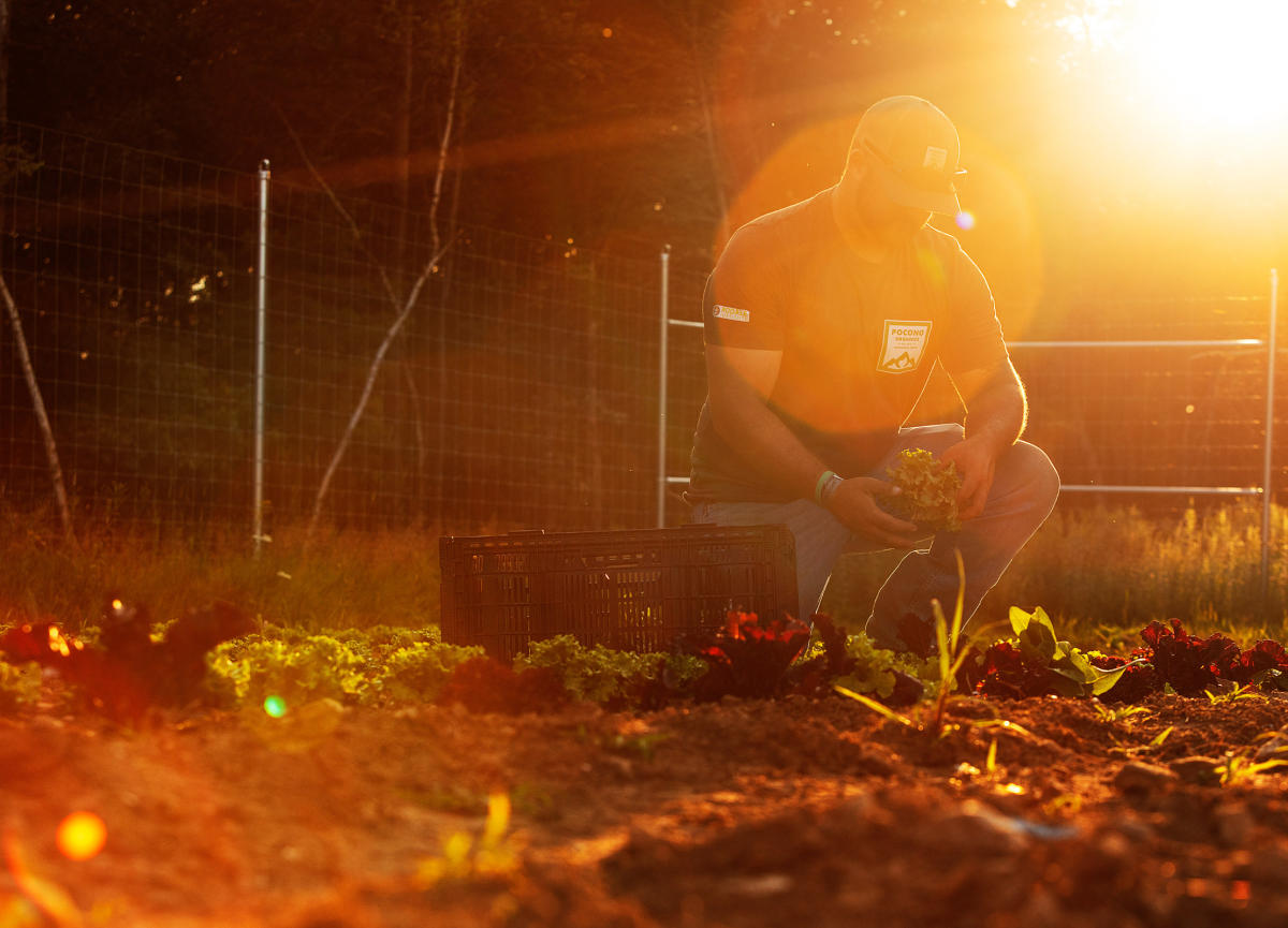 Farmers' Markets in the Pocono Mountains | Poconos Events
