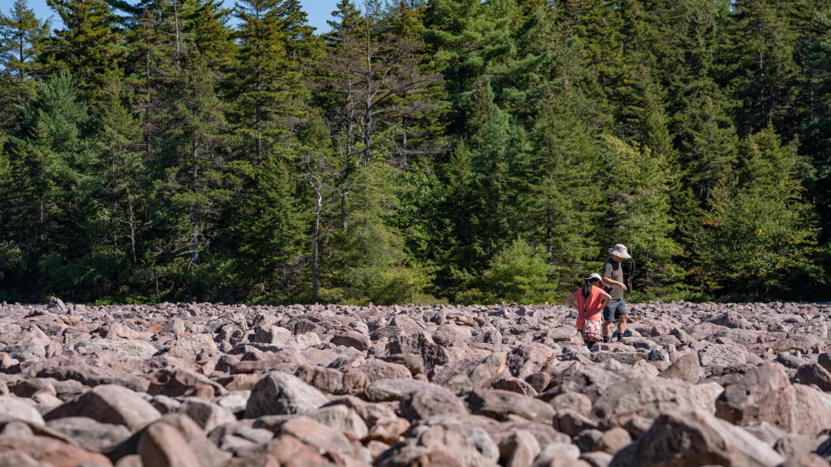 8 Must-Visit Parks and Recreation Areas in the Poconos