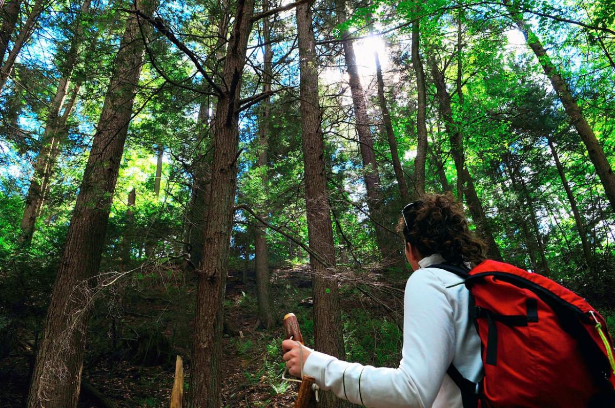 Poconos Hiking | Find Beautiful Pocono Mountain Trails