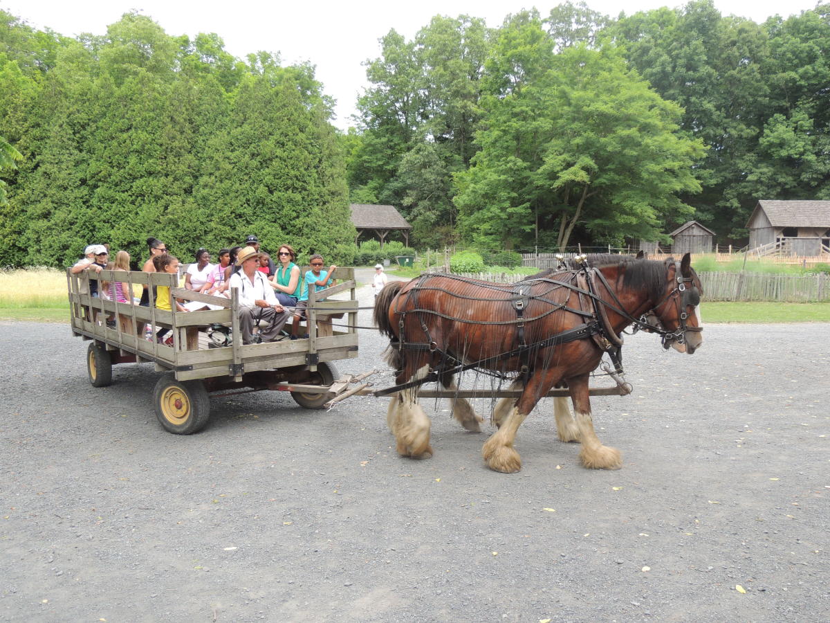 Experience the Quiet Valley Living Historical Farm in the Poconos