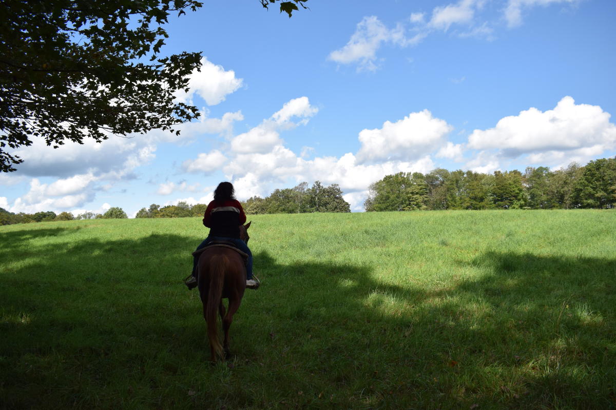 Itineraries, Weekend Getaways & Day Trips | Pocono Mountains