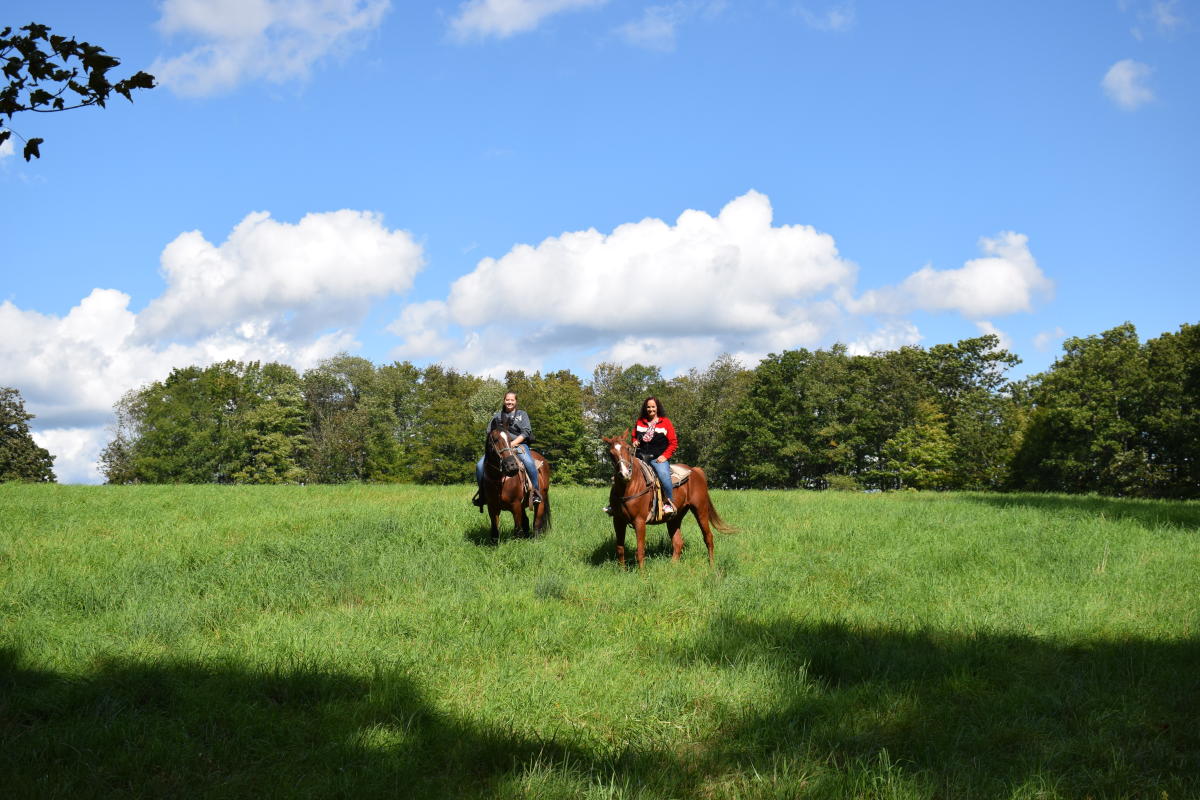 Horseback Riding in the Pocono Mountains, PA