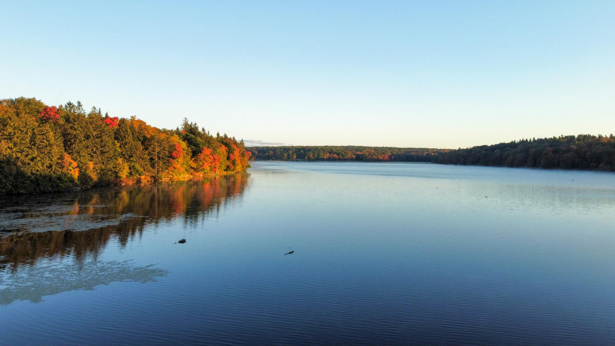 5 Best Areas to Catch Fall Foliage in the Poconos