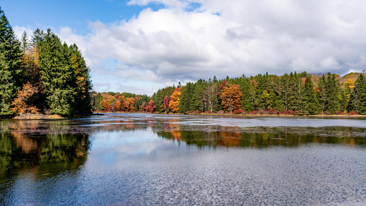 5 Best Areas to Catch Fall Foliage in the Poconos