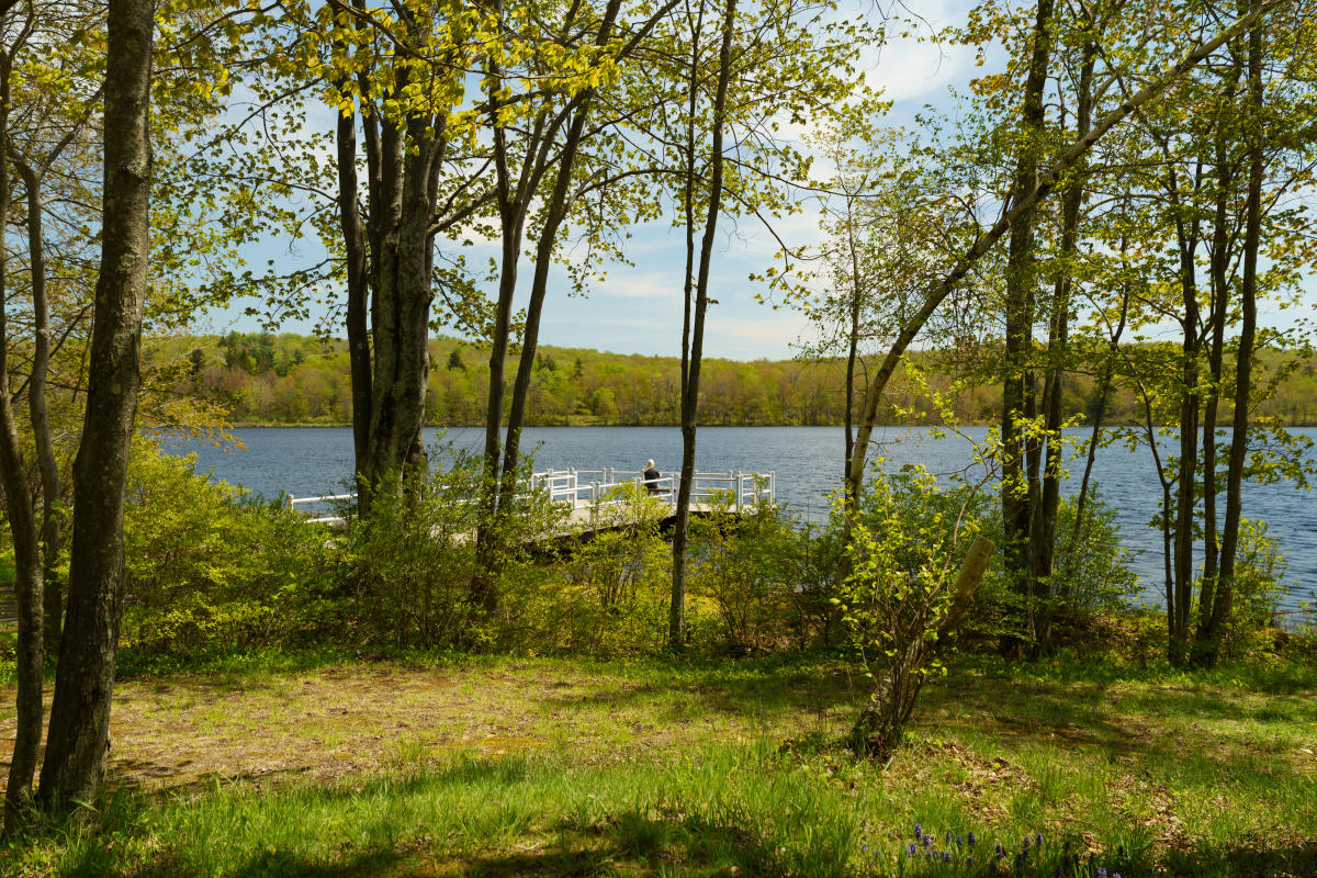 Park Maps for Pocono Mountains | Promised Land State Park