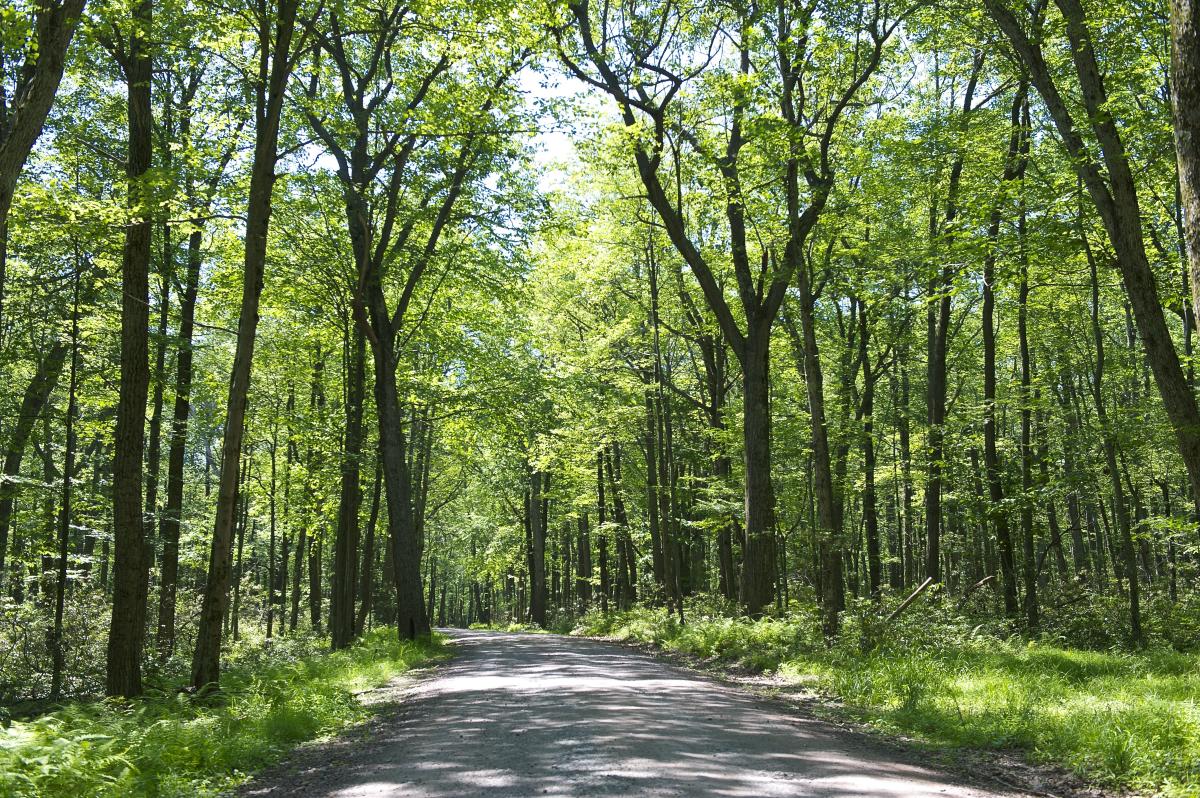 Have An Off-Road Adventure | Explore Pocono Mountains