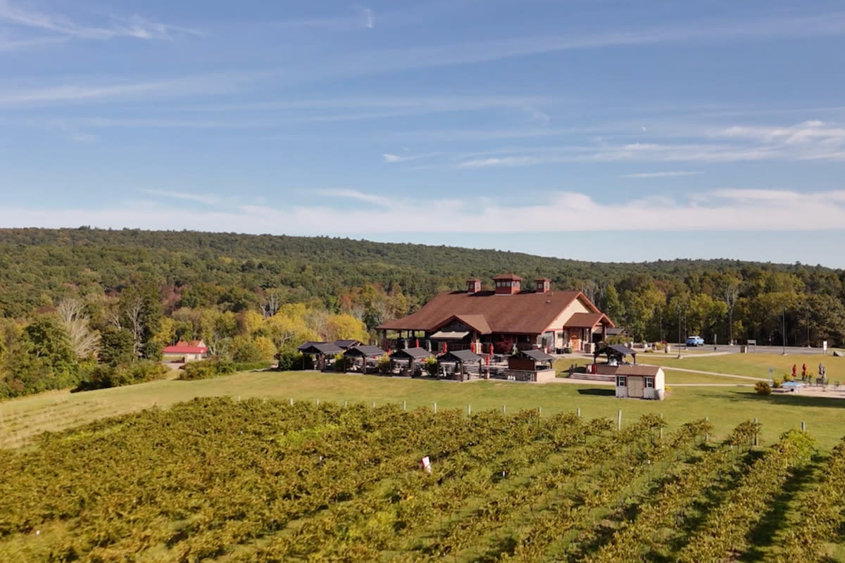 Mountain View Vineyard, Winery, Brewery & Distillery