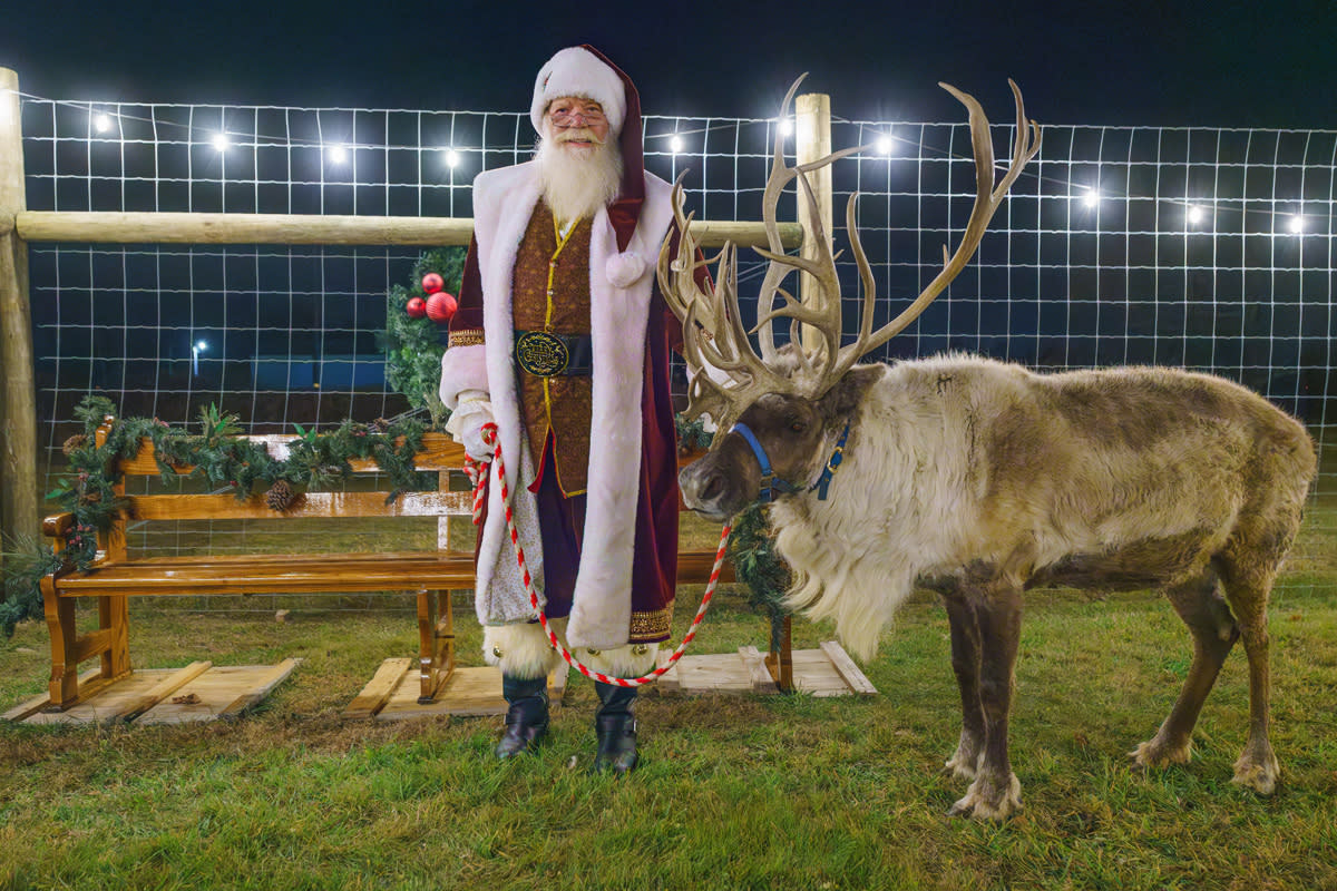 Spruce Ridge Reindeer Farm