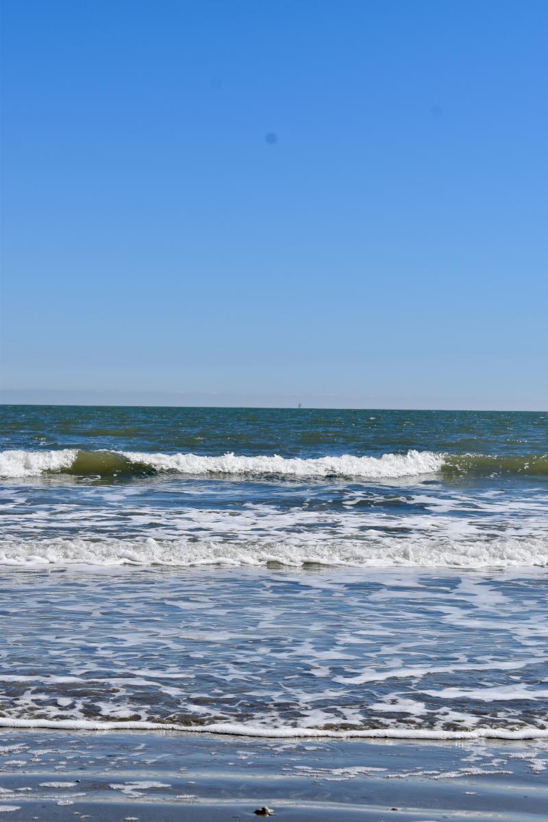 Best Beach Destination in Texas | Why Visit Port Aransas
