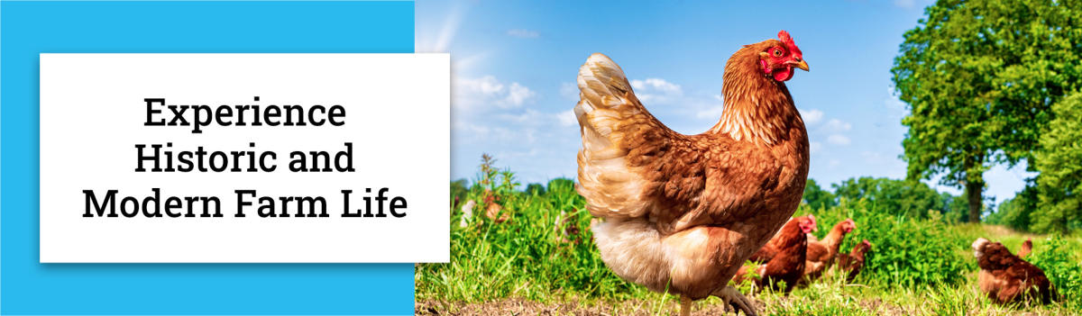 Experience Farm Life In Prince George's County