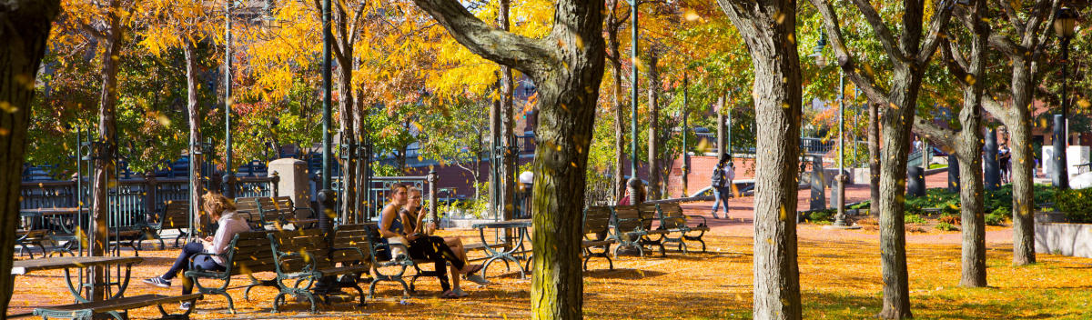 Autumn Eats: Your Guide to Fall Dining in Providence