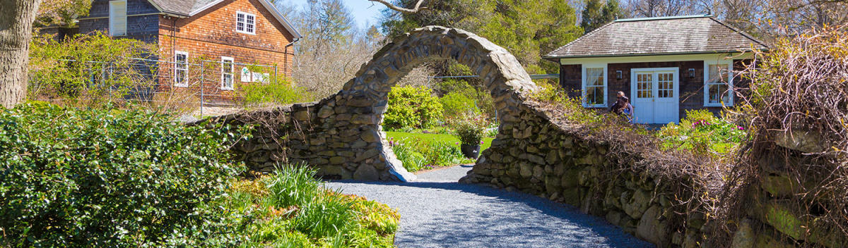 Big Beautiful Bamboo Birds at Blithewold
