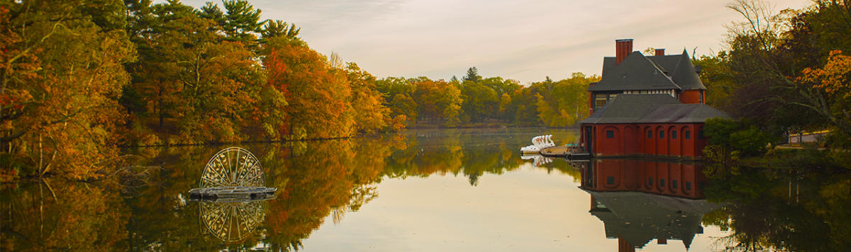 Where To View Foliage in & Around Providence