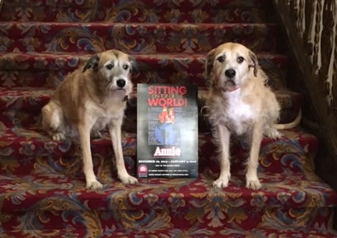 Sunny & Macy in Providence: The Stars Behind Annie's Famous Dog Sandy