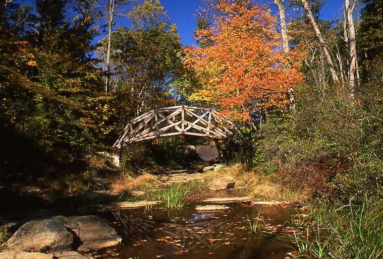 8 Great Fall hikes in Virginia