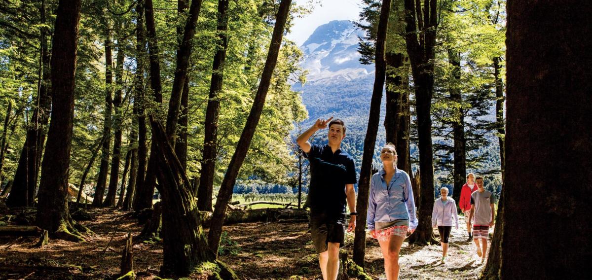 Nature & Wildlife Adventures in Queenstown, NZ | Official Website
