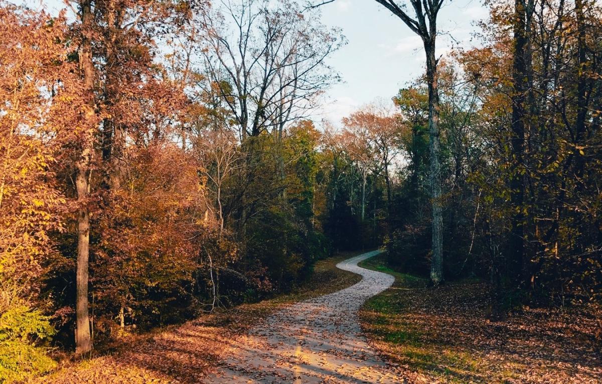 A Guide to Raleigh, N.C.'s Neuse River Greenway Trail for Runners ...