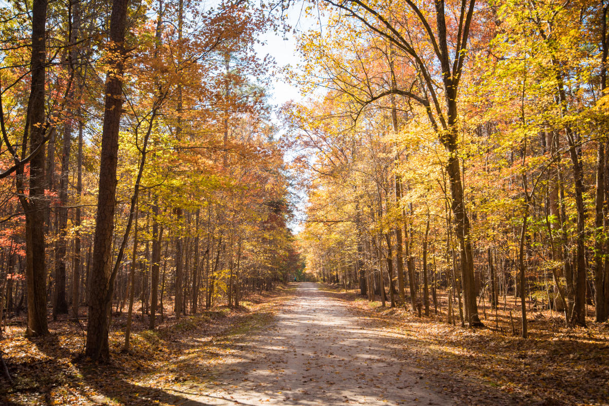 Favorite Fall Hikes in Raleigh, N.C.