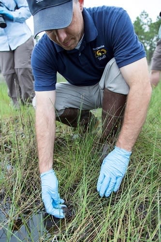 North Carolina Zoo Strives to Save Carolina Gopher Frog