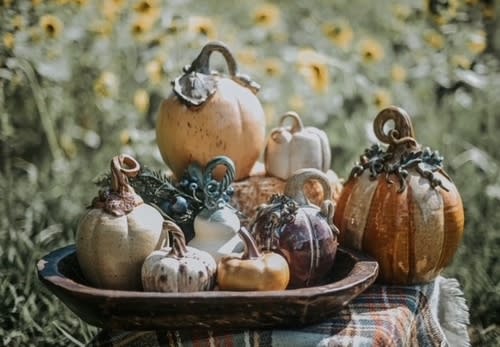 Potters Pumpkin Patch Trail in Seagrove