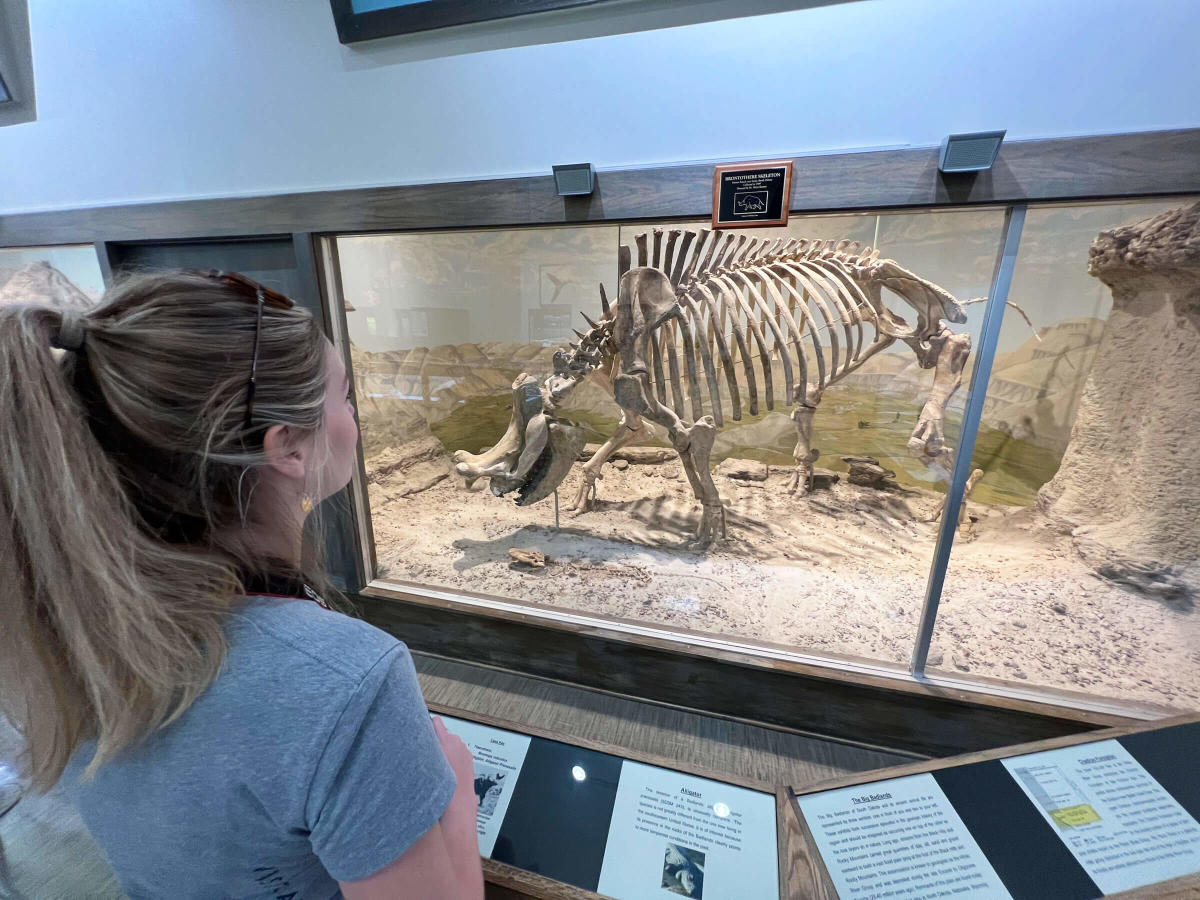 Admire Minerals, Fossils and More With A Visit To The Museum Of Geology