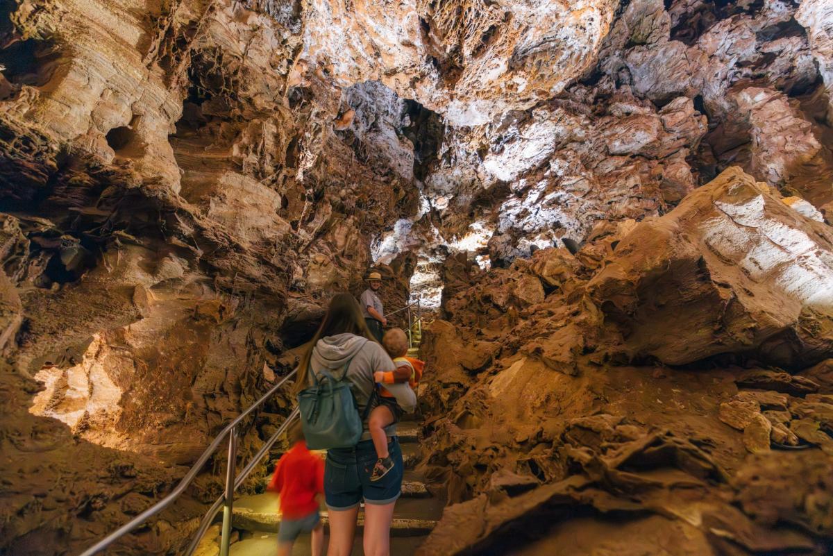 Wind Cave National Park | Hotels Near Wind Cave | Visit Rapid City