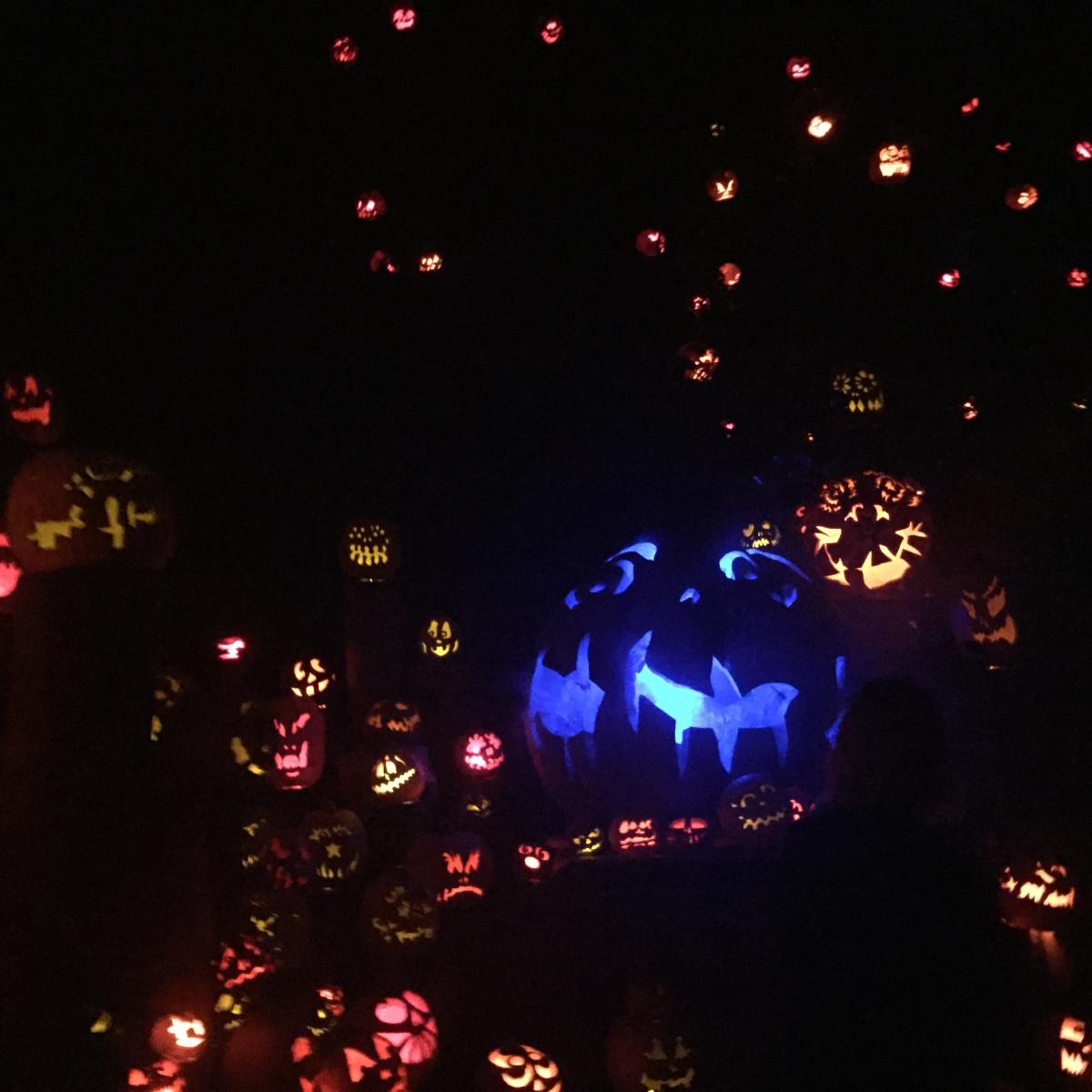 Fall Fun For The Whole Family