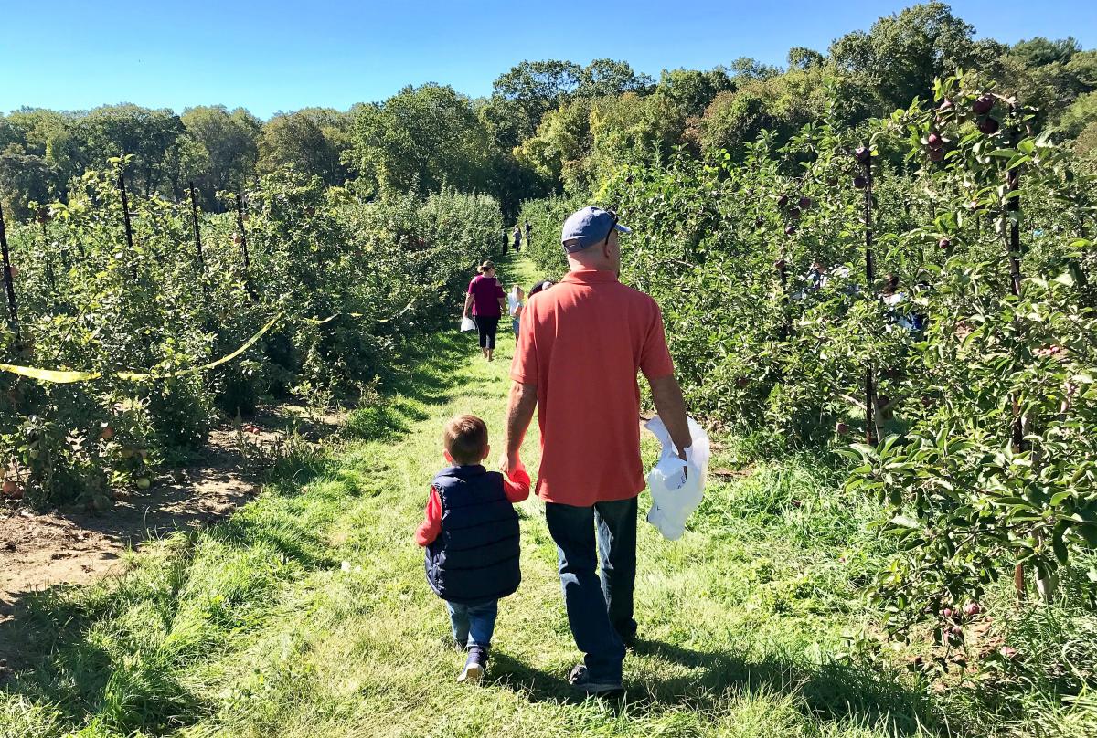 Pick Your Own Orchards & Farms in Rhode Island