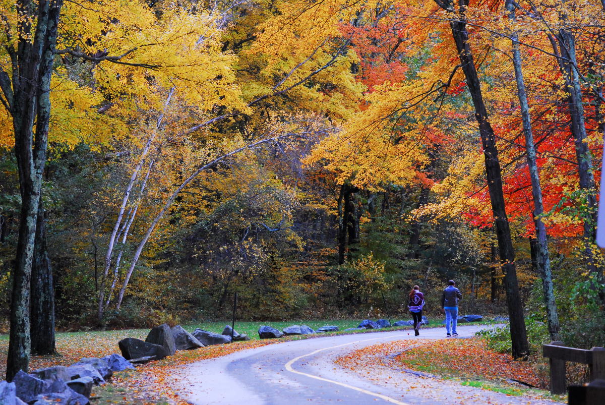 This Park Has It All