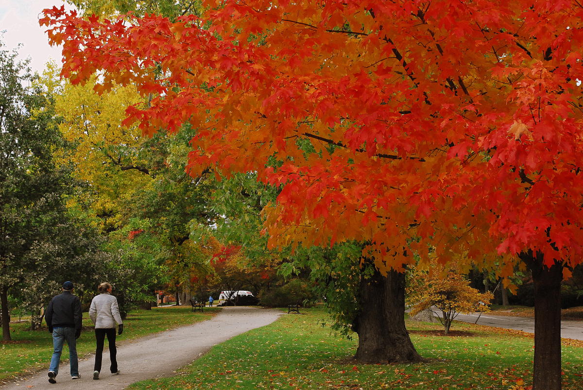 Get Ready For The Rhode Island Fall Colors