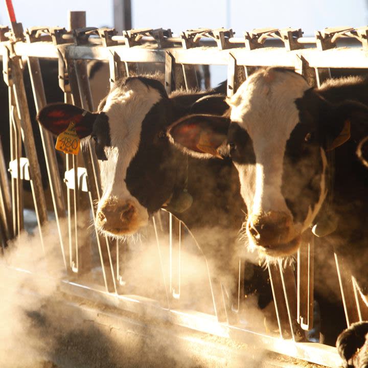 Farms & Gardens in Rhode Island | Explore Our Agricultural Side