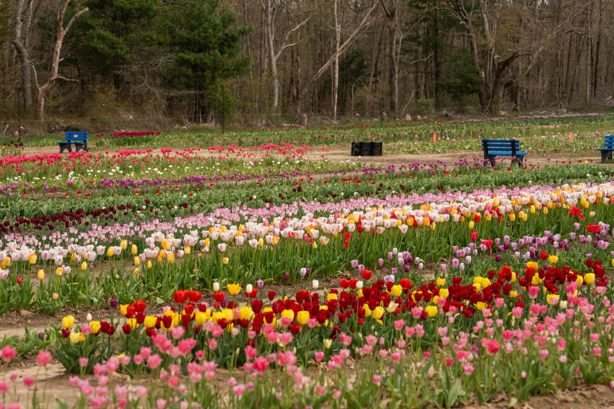 Farms & Gardens in Rhode Island | Explore Our Agricultural Side