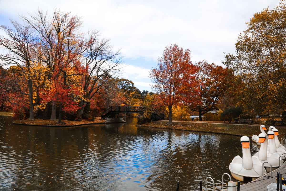 Fall Foliage Thrills in Rhode Island