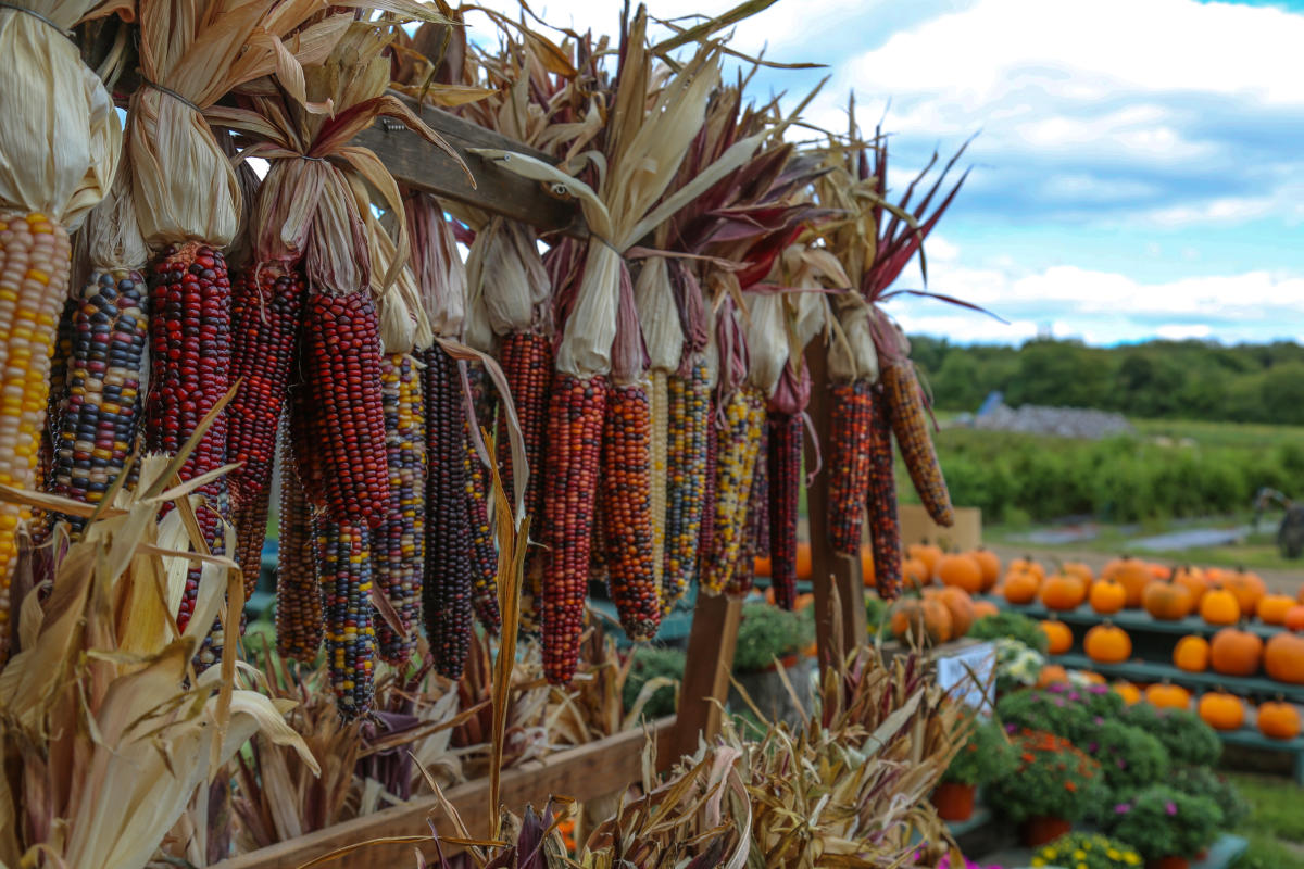 Farms & Gardens in Rhode Island | Explore Our Agricultural Side