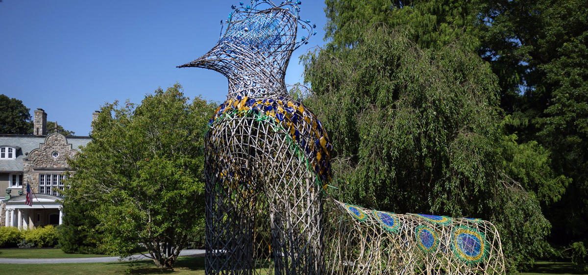 Bamboo Birds of Blithewold | Rhode Island Outdoor Art Experience