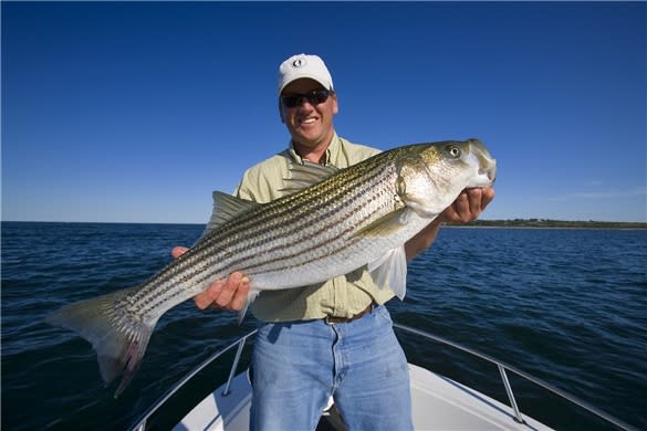 Top Spot To Enjoy Some Fishing And More
