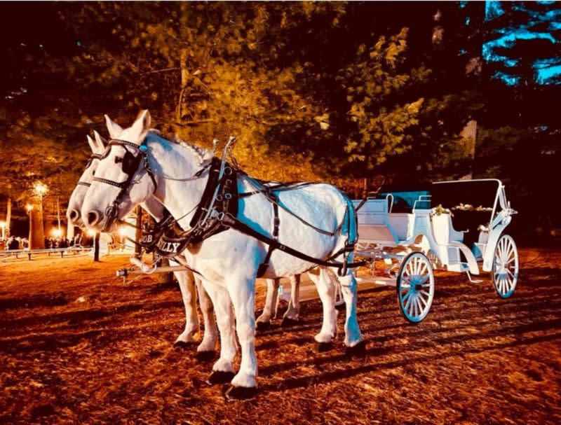 Farms & Gardens in Rhode Island | Explore Our Agricultural Side