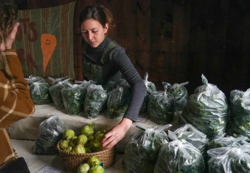 Cultivating success: RI's new farmers help the state buck national trends
