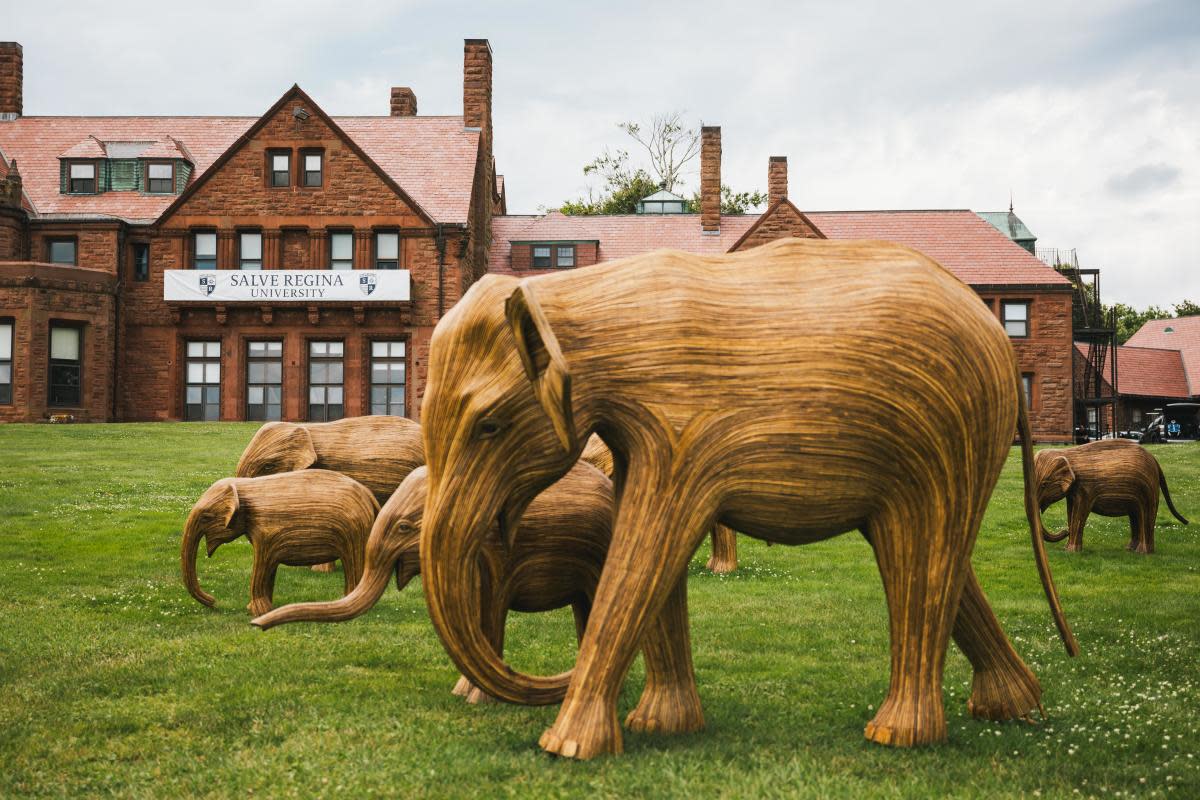 Great Elephant Migration | Newport, RI