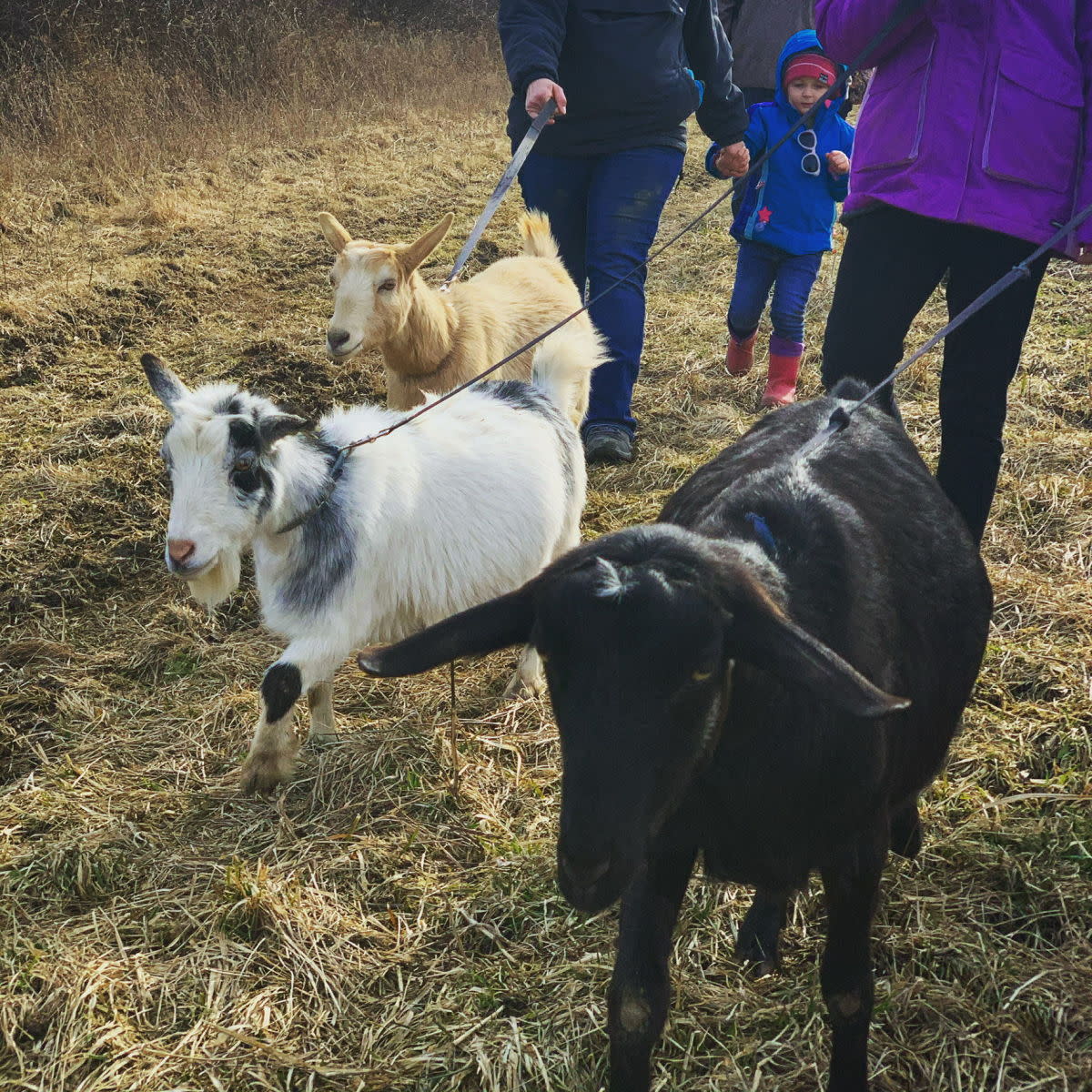 Rhode Island Events, Fairs, Festivals & Other Things to Do