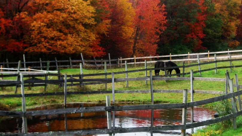 Farms & Gardens in Rhode Island | Explore Our Agricultural Side