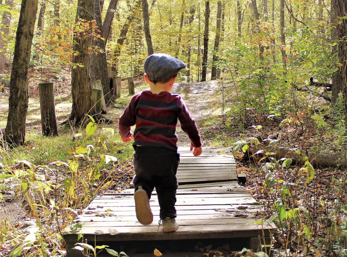 Fall Hiking For The Whole Family